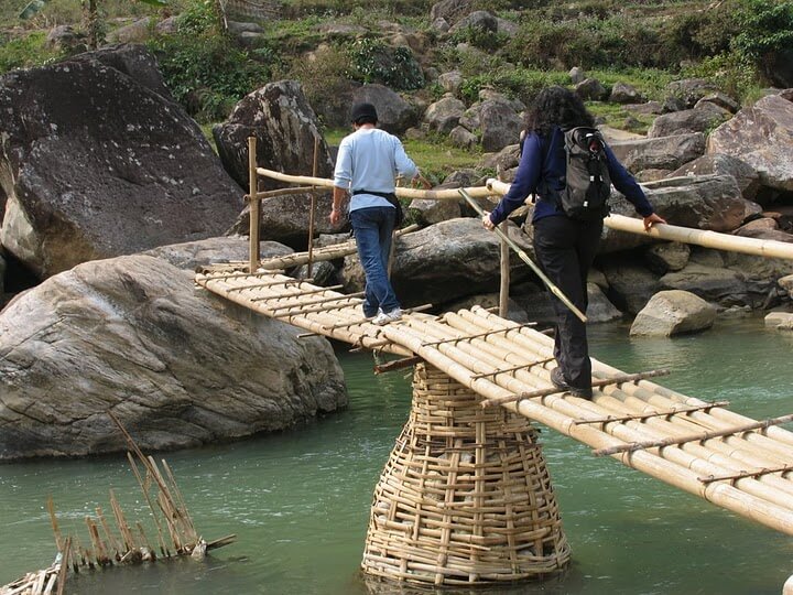 Quick-tip Part Two: The Wondergrass-Bamboo Cropping Up Everywhere ...