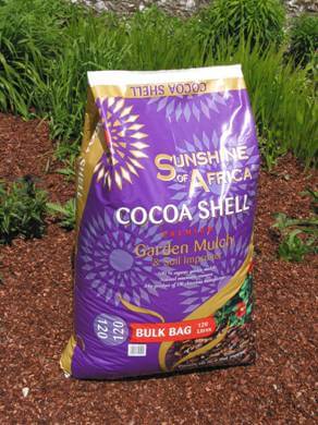 Warning for Gardening DIYers: Cocoa Shell Mulch Could Be Hazardous to ...