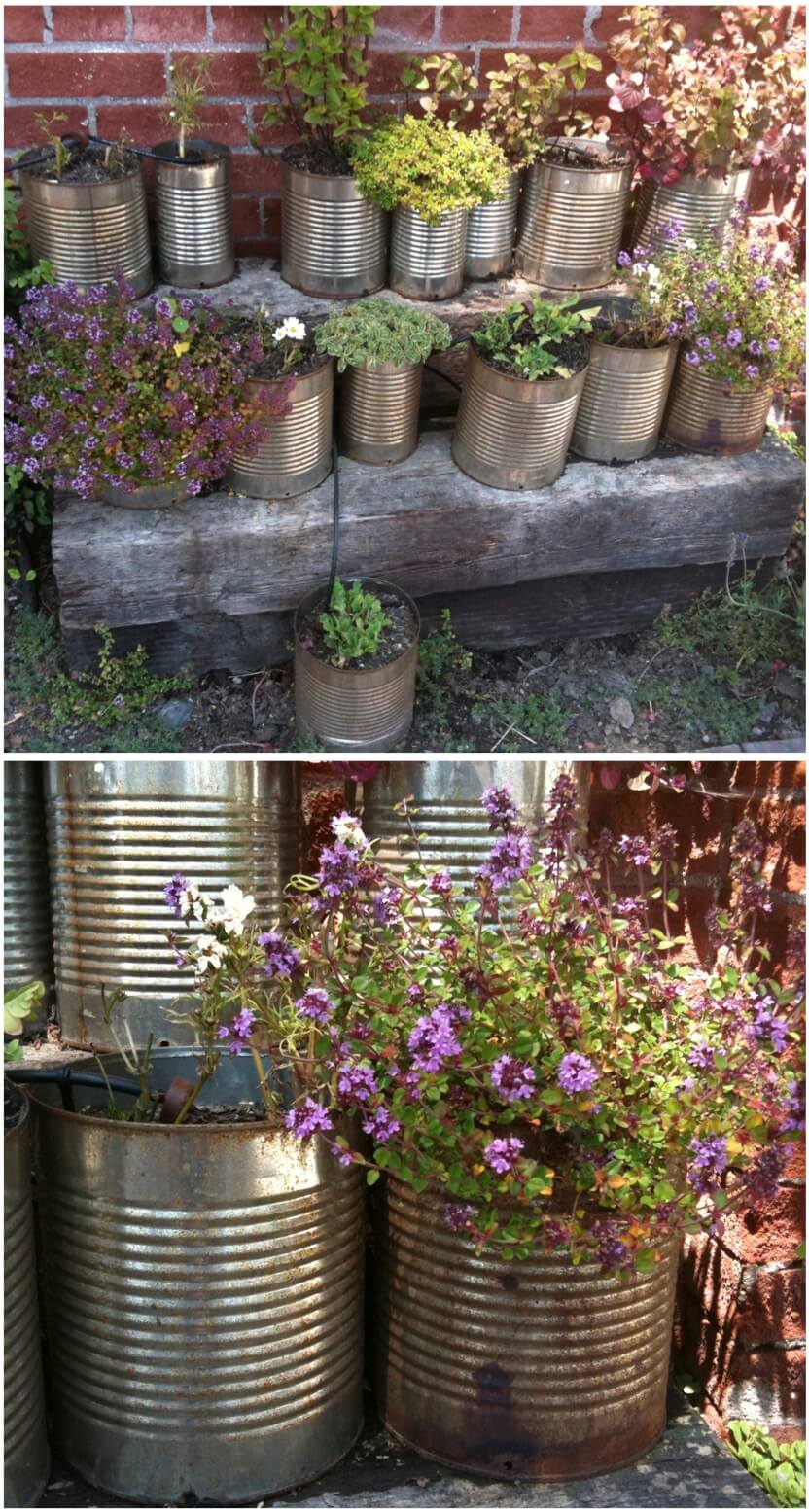 tin-planters.jpg (832×1555) | Plants, Outdoor gardens, Indoor herb garden