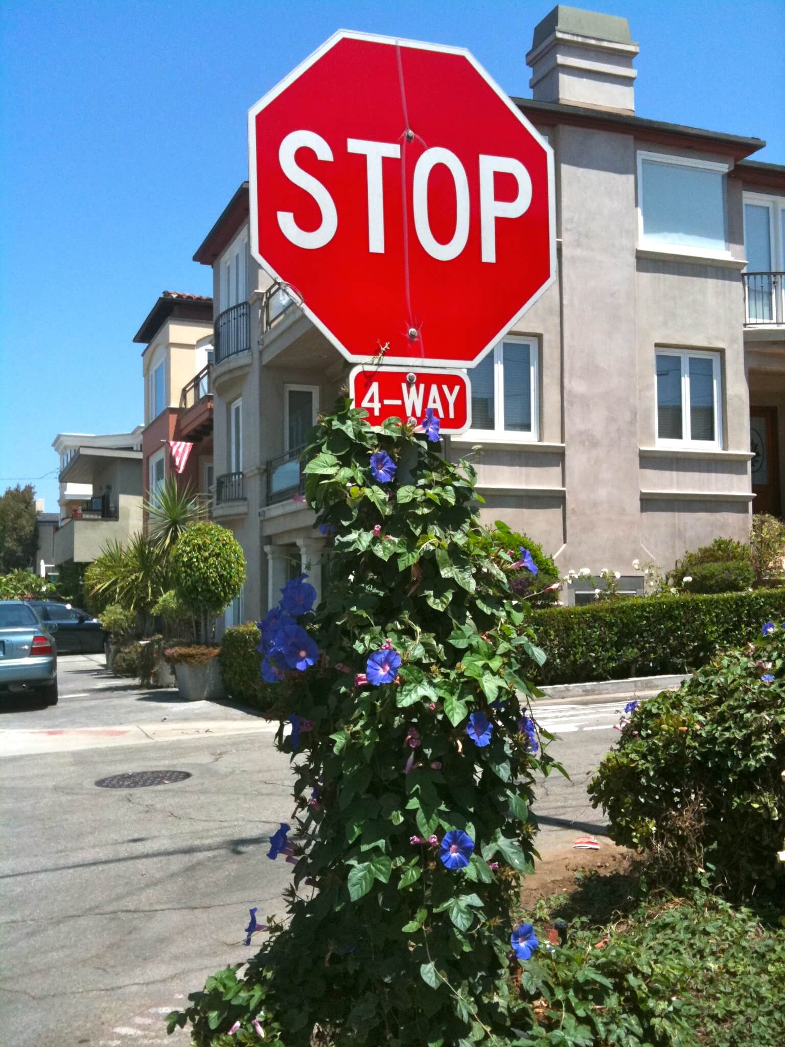 DIY Curb Appeal: Create A Welcoming Botanical Archway - HomeJelly