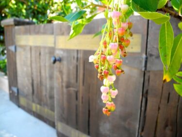 Low Gates, High Style - HomeJelly