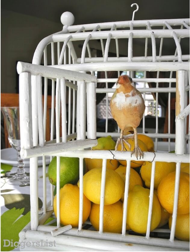 Fun Birdhouse Decor Ideas - HomeJelly