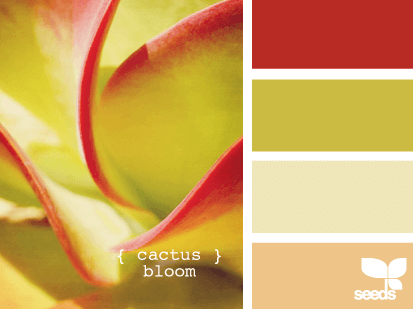 Planting the Design Seeds of Color Inspiration - HomeJelly