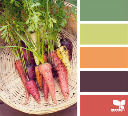 Planting the Design Seeds of Color Inspiration : HomeJelly
