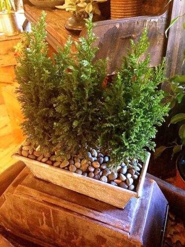 Repurposed Planters Are Playfully Decorative - HomeJelly