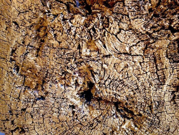 Interior Decorating With Tree Stumps Au Naturel - HomeJelly