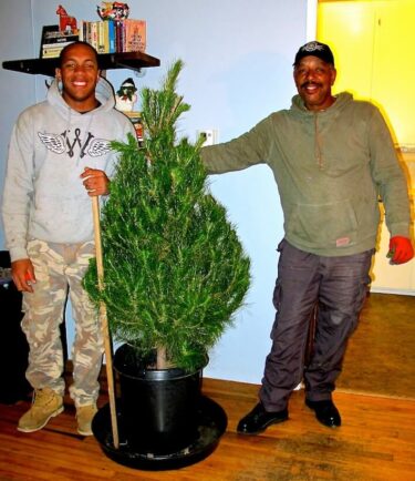 Living Christmas Trees & Decorating Ideas That Sparkle - HomeJelly