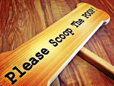 10 Reasons Why You Need To Scoop Your Poop - HomeJelly