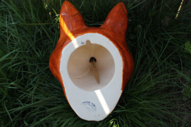 Fox Stuff We Discovered Today - HomeJelly