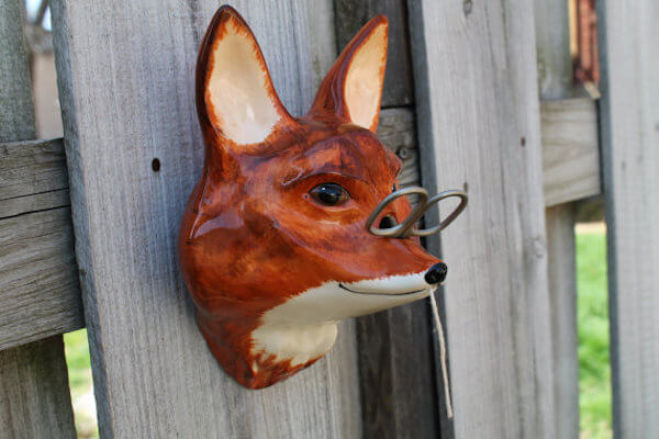 Fox Stuff We Discovered Today - HomeJelly