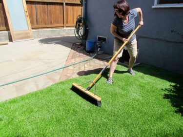 Artificial Grass is a Dog’s (and Our) Best Friend - HomeJelly