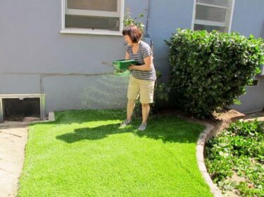 Artificial Grass is a Dog’s (and Our) Best Friend - HomeJelly