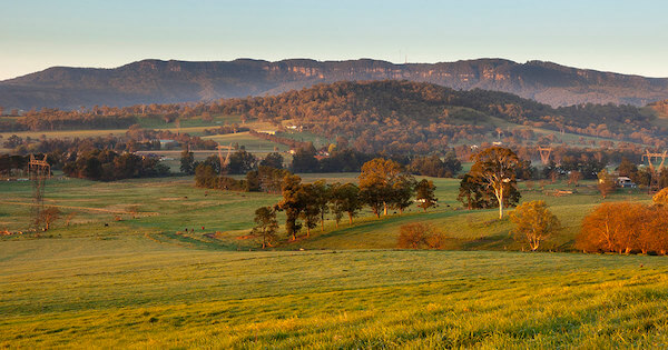 Australian Community Lives Harmoniously With Nature - HomeJelly